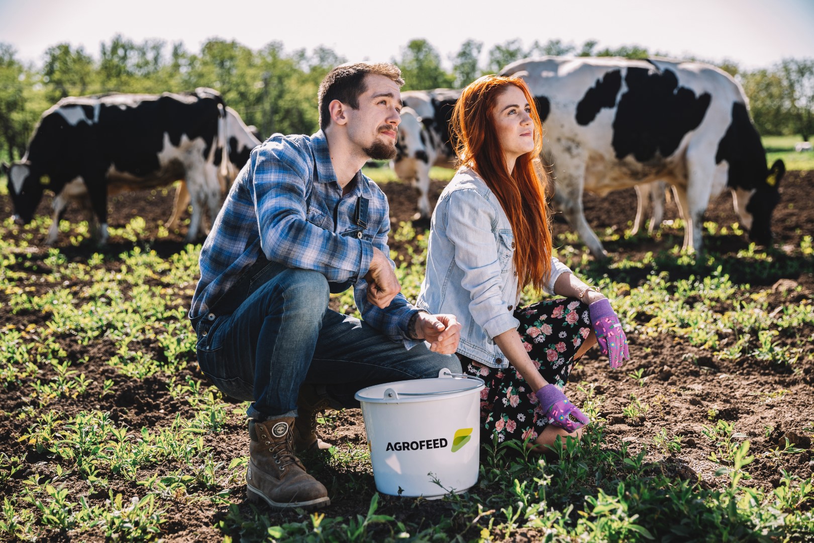 Szarvasmarha takarmányozás - Agrofeed, a vezető gyártó