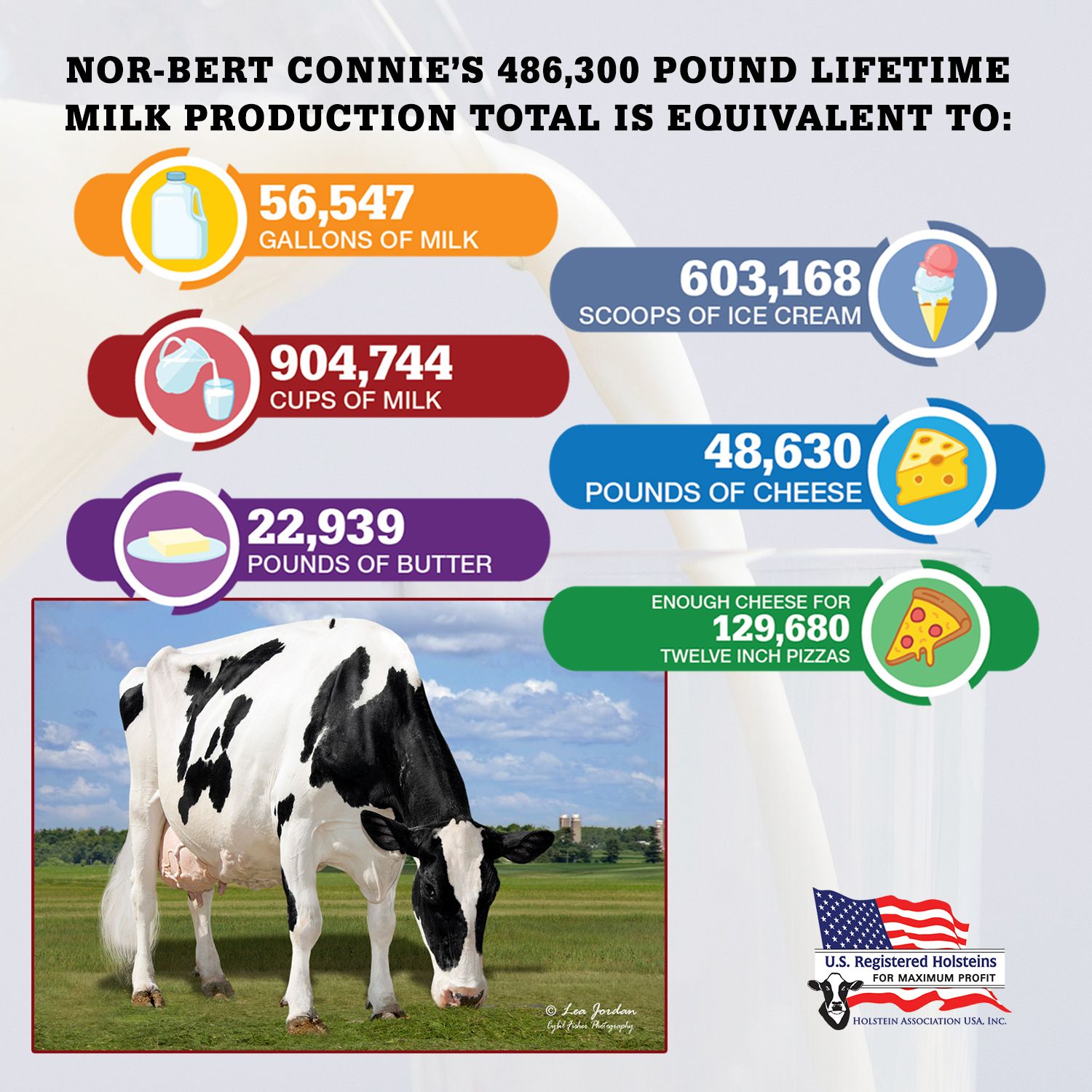 New lifetime production record in the USA - Agrofeed