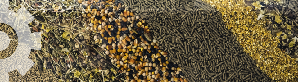 Compound feed production falls across Europe, with more to come - Agrofeed