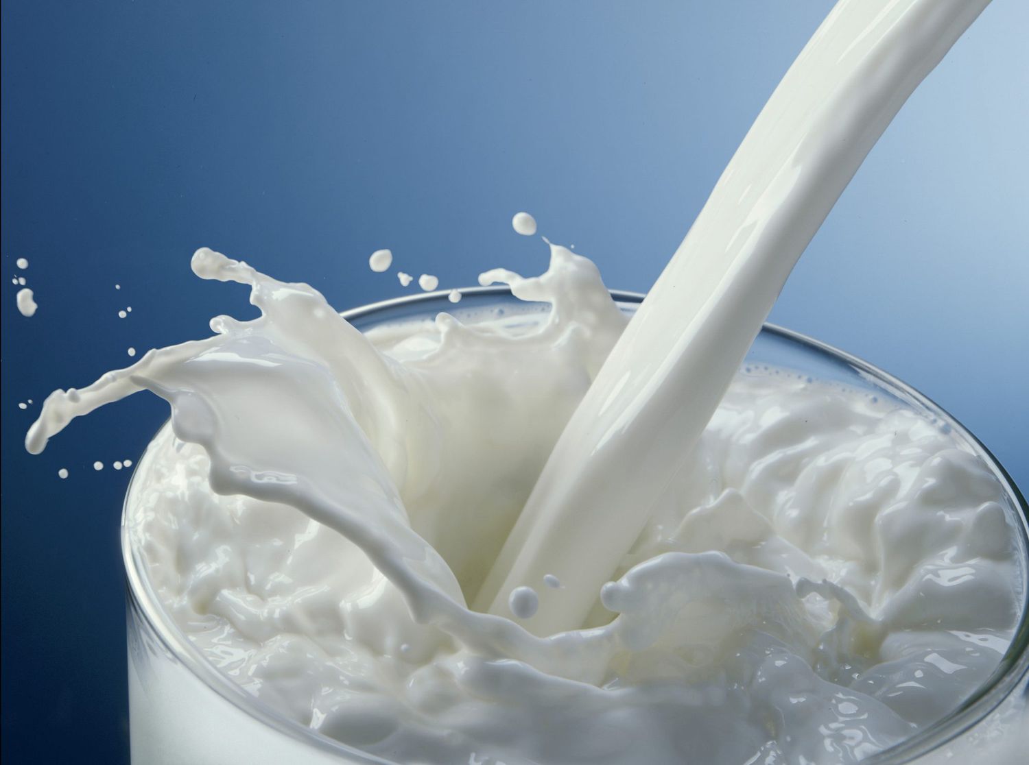The situation of the global synthetic milk market - Agrofeed