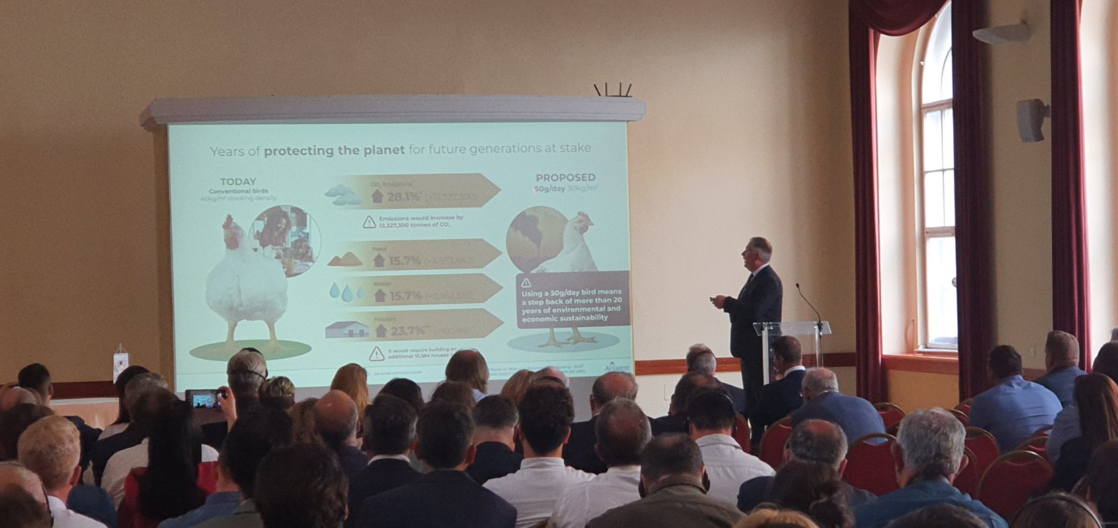 World Poultry Day - what will the chicken of the future be like? - Agrofeed