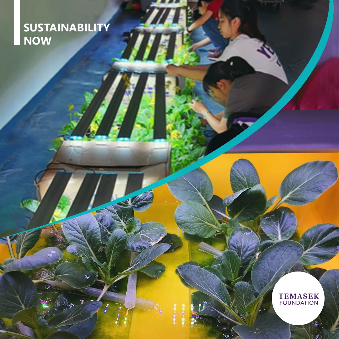 Single-cell protein cultured from soybean process water looks promising - Agrofeed