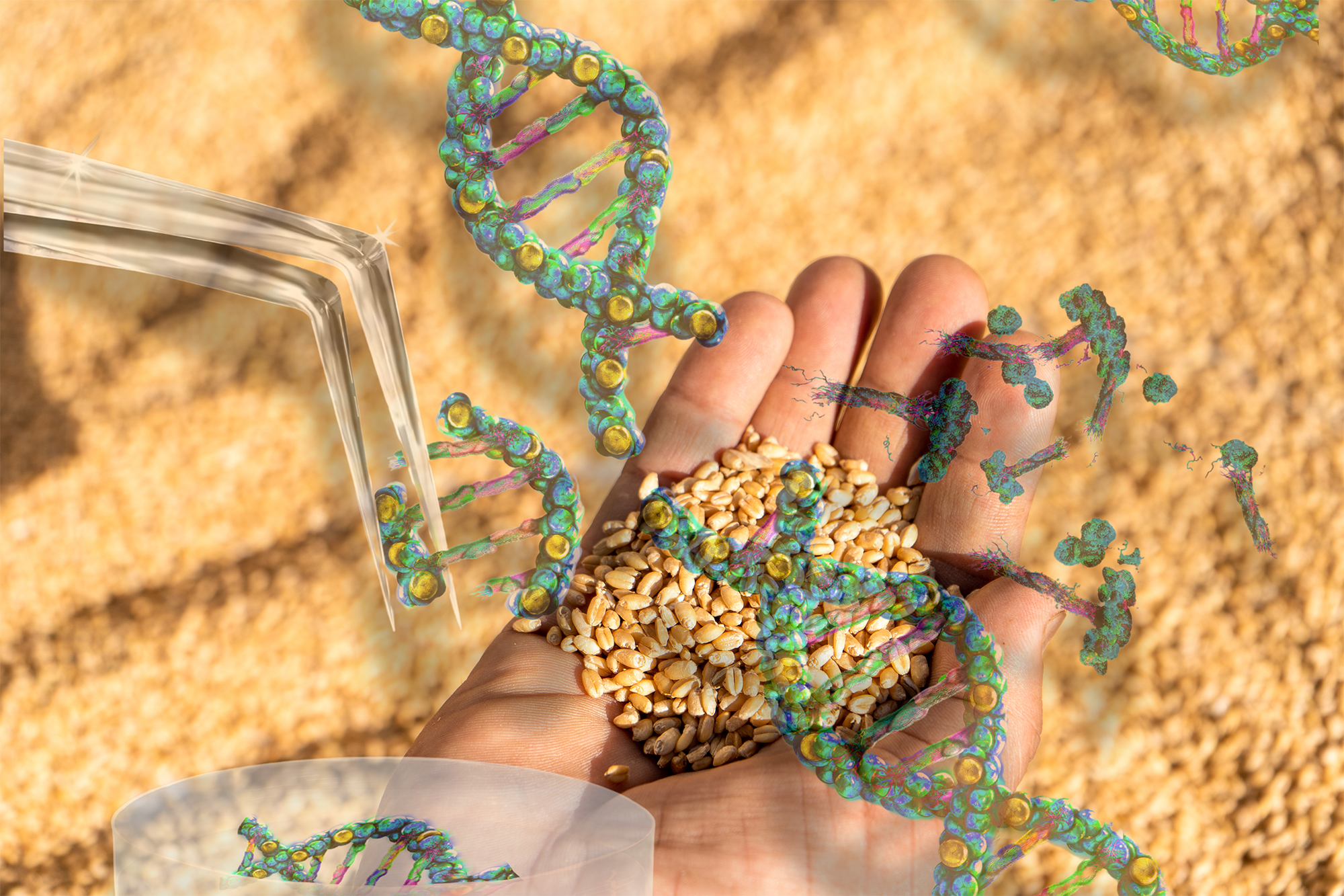 Green light for plant gene-editing in the UK - Agrofeed